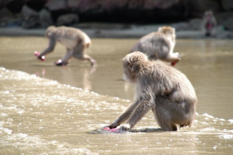 Dünyayı Tek Başımıza Değiştirebileceğimizi Kanıtlayan Bir Deney: 100 ...