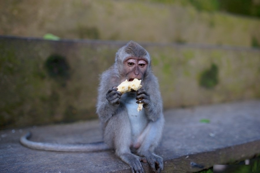 Dünyayı Tek Başımıza Değiştirebileceğimizi Kanıtlayan Bir Deney: 100 ...
