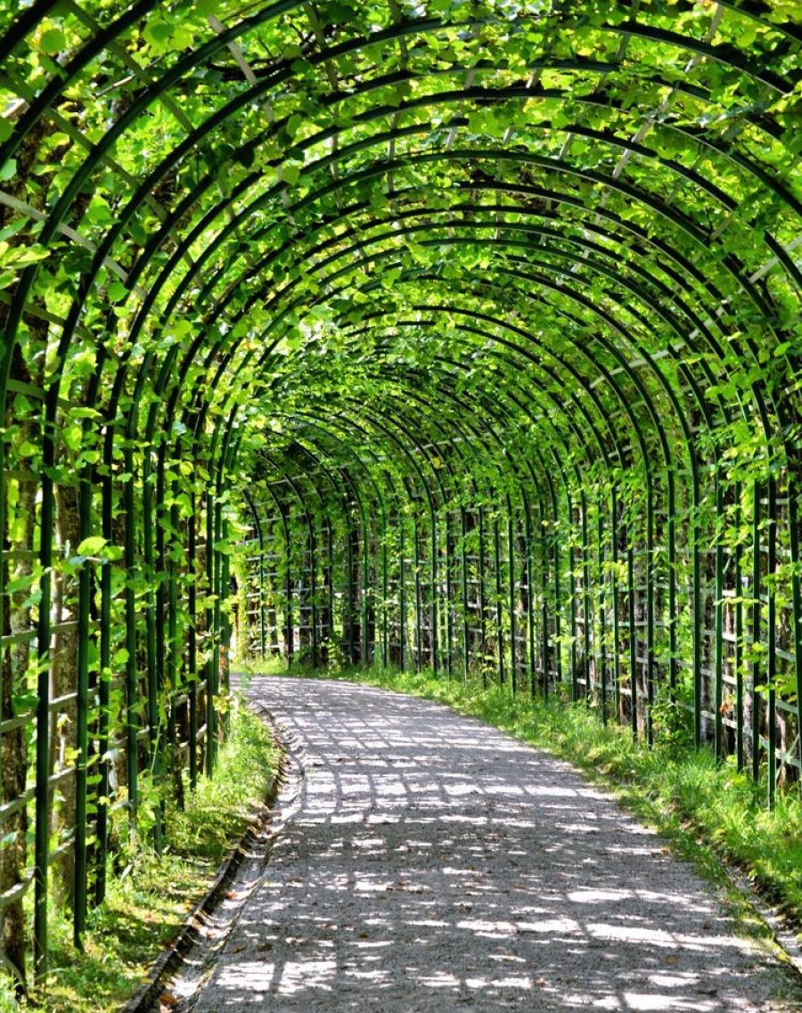 Bütün Duygularınızı Harekete Geçirmesi Garanti Yaşamın İçinden 25 ...