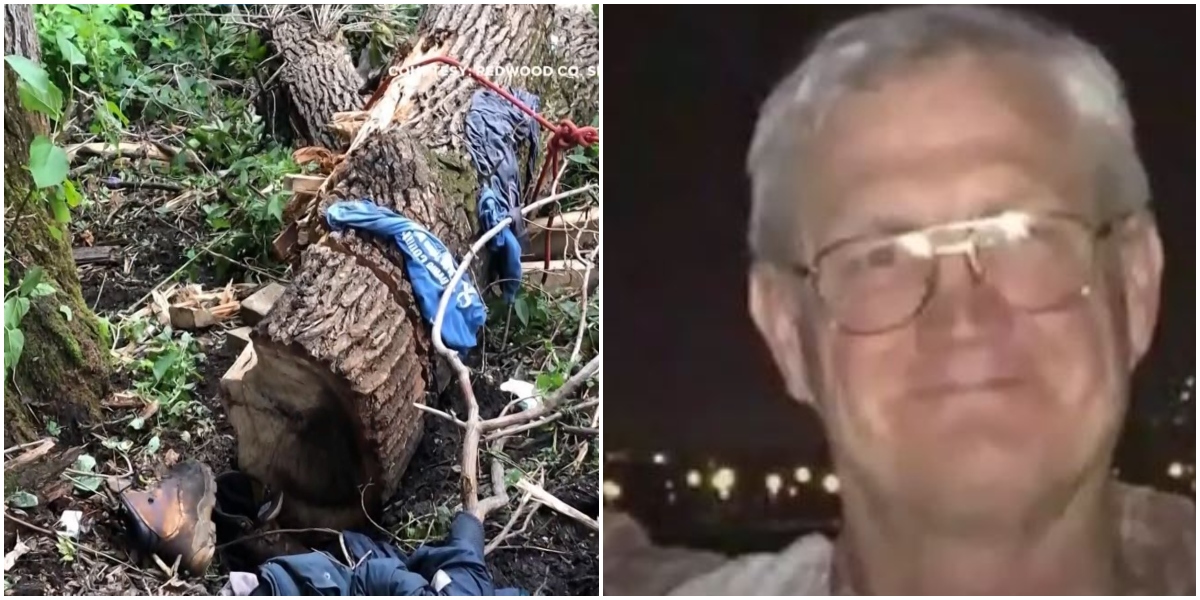 Kestiği Ağacın Altında Sıkışarak 100 Saat Hayat Mücadelesi Veren ...