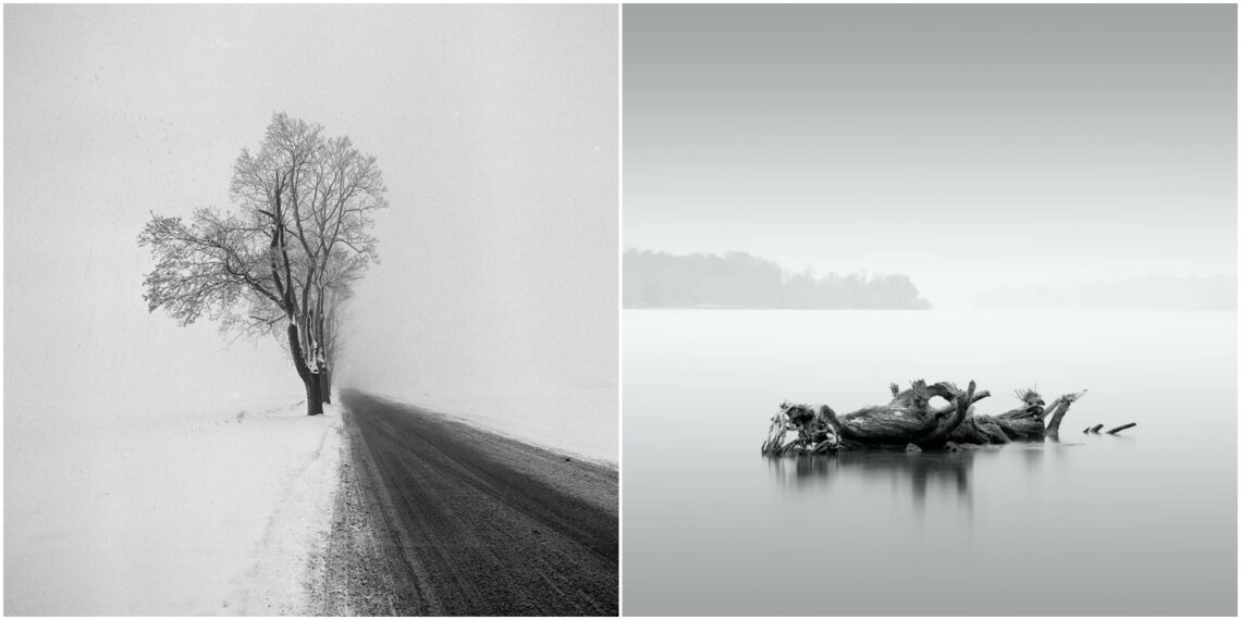 Siyah Beyaz Minimalist Fotoğraf Yarışması: En Etkileyici 20 Fotoğraf