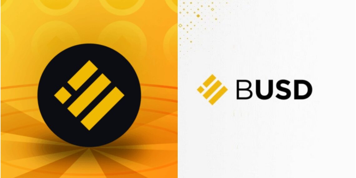 BUSD Nasıl Alınır? | ListeList.com