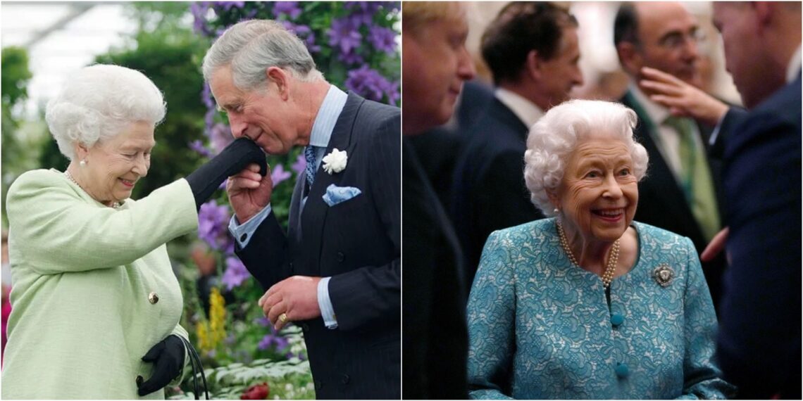 Birbirinden Sevimli Keçi ve Oğlak Resimleri | ListeList.com