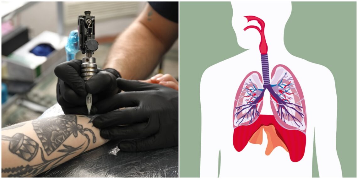 Birbirinden Sevimli Keçi ve Oğlak Resimleri | ListeList.com